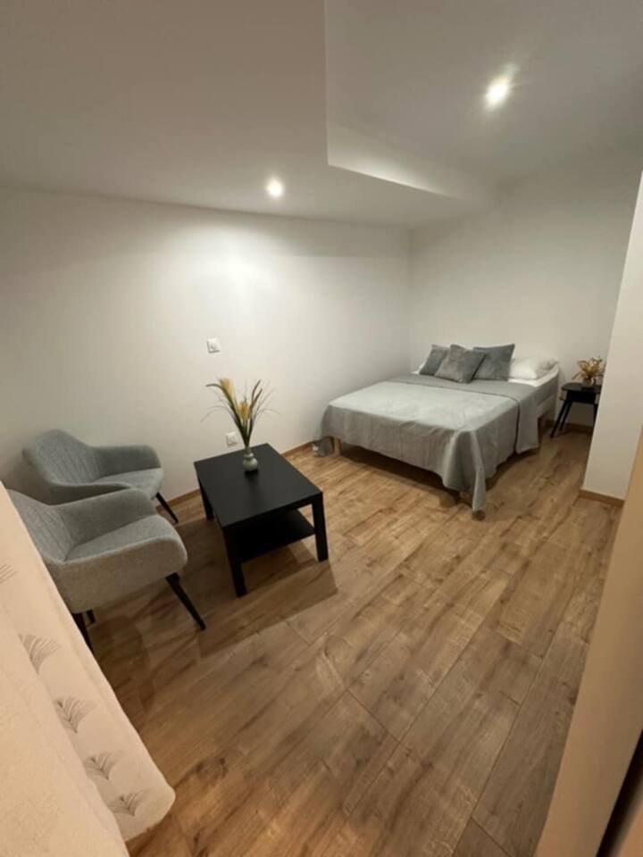 Appartement, Roanne - Roanne