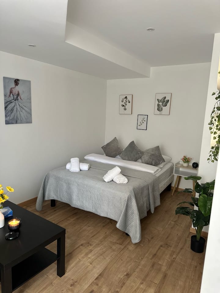 Appartement, Roanne - Roanne