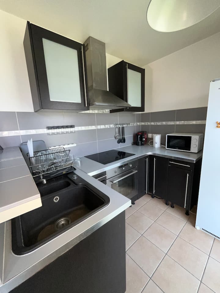 Grand Appartement Duplex - Villepinte
