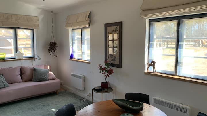 Apartment Auf Islandpferdehof - Fockbek
