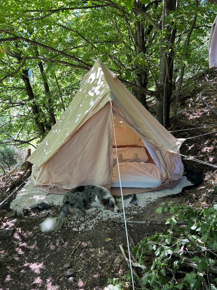Tipi à L’ombre Des Tilleuls - Pont-de-Montvert-Sud-Mont-Lozère