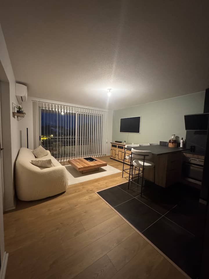 Appartement 1 Chambre - Saint-Marcel