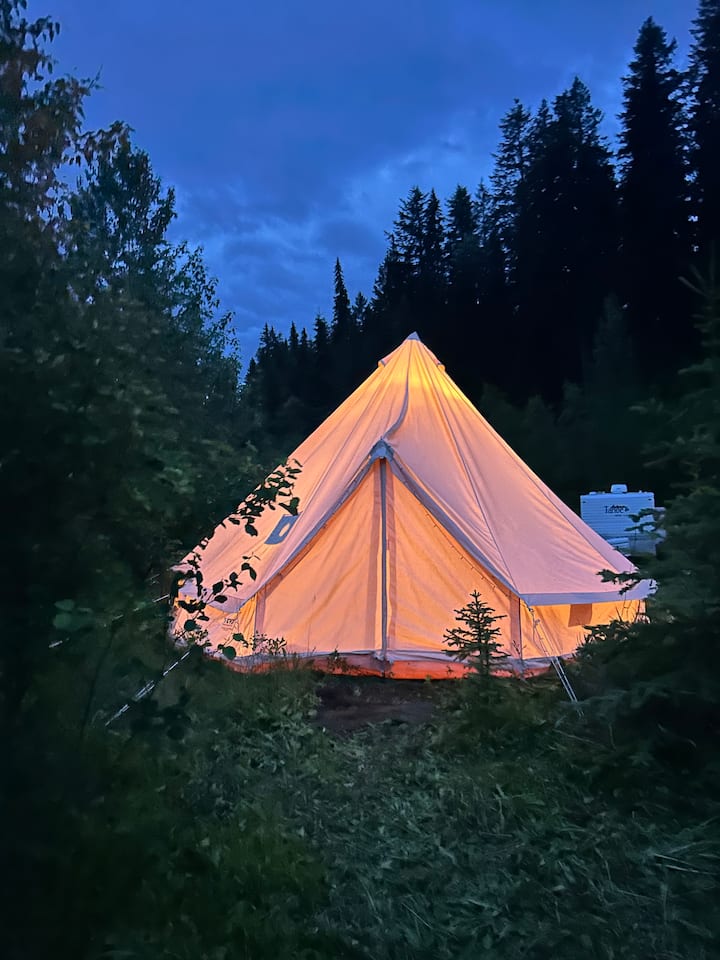 The Bohimian - Golden