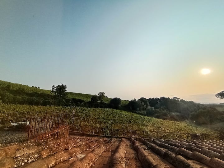 Casa Toscana “Il Leccio” - Siena