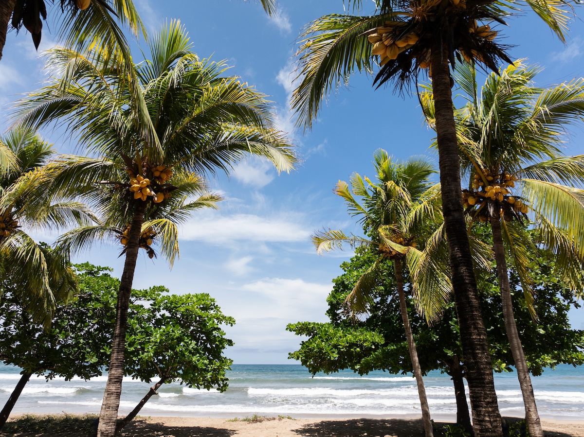 Surfing (Beachfront!) - Houses for Rent in Playa Grande, Provincia de ...