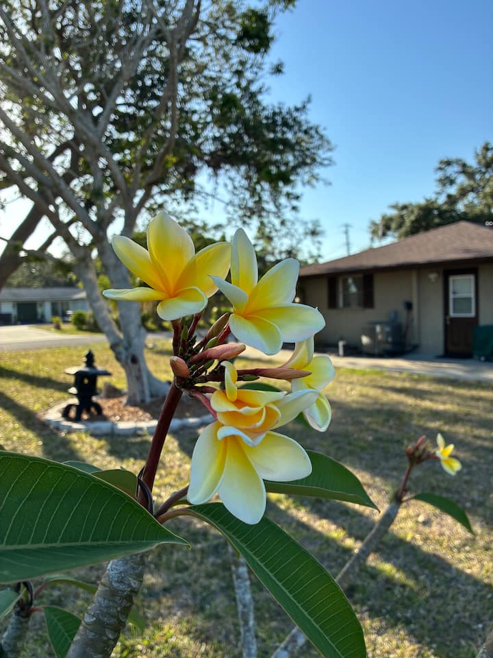 Charming Venice Get Away - Venice, FL