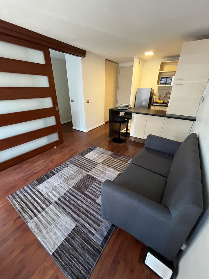 Apartamento Santiago Centro A Pasos Del Metro - Santiago