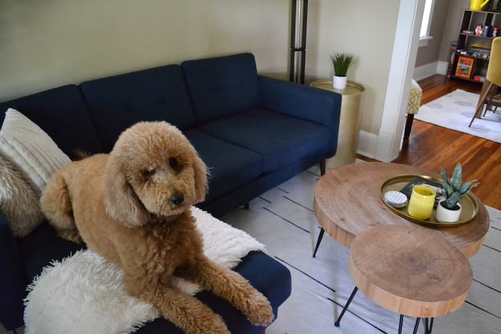 Pet-friendly Oakley Home | Fenced Yard! - Madeira, OH