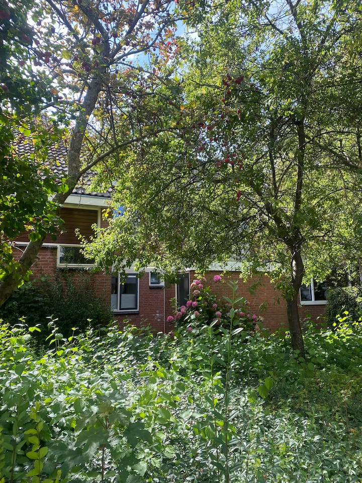 Gezinswoning In Groningen Zuid - Groningen