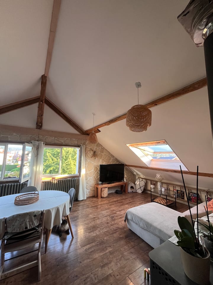 Charmant Appartement - Rumilly
