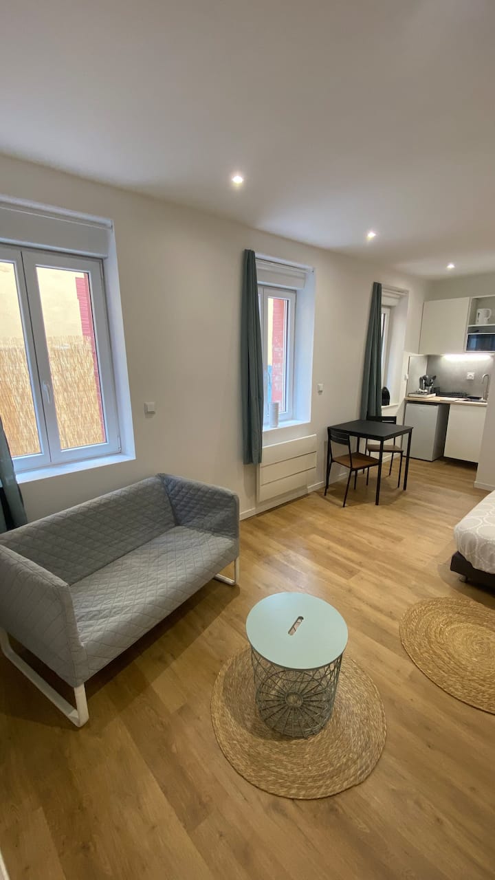 Studio "Verge D'or" 2 - Toulouse