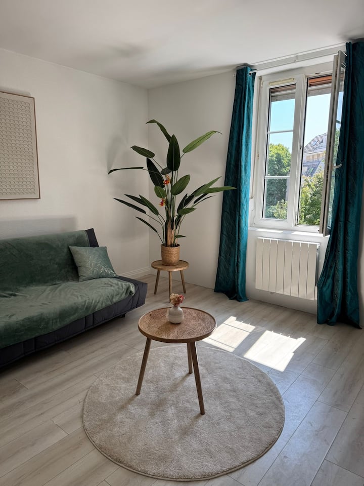 Appart Chic Au Centre De Stras - Strassburg
