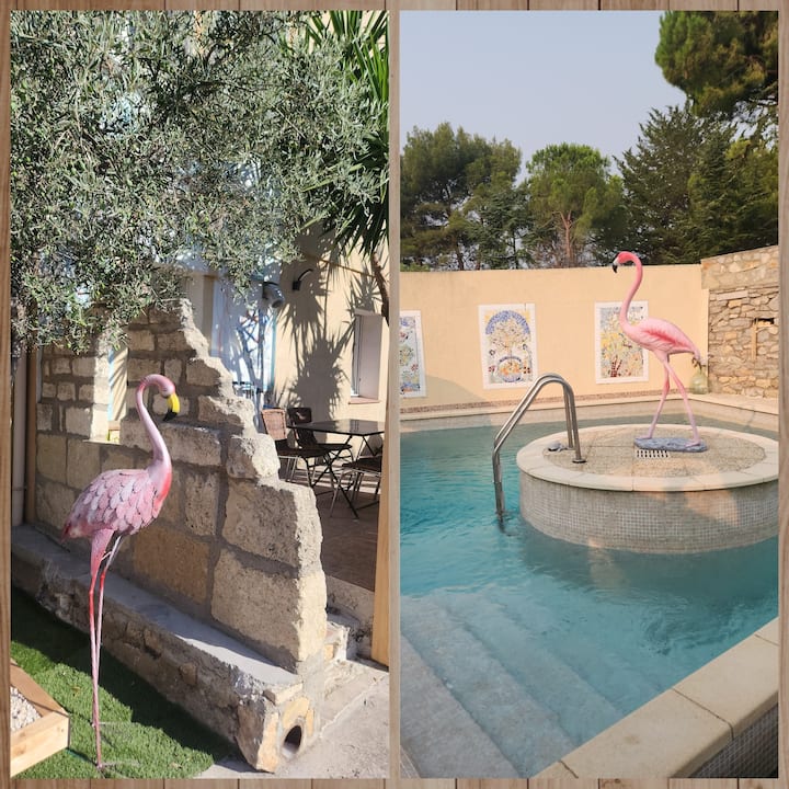 Appartement  F2 Neuf / Piscine - Balaruc-les-Bains