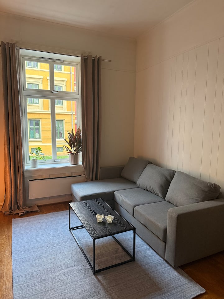 Bright&cozy 1br + Sofa Bed – Frogner - Oslo