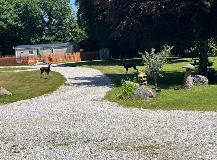 Lakeside Fishing Retreat - Bovey Tracey