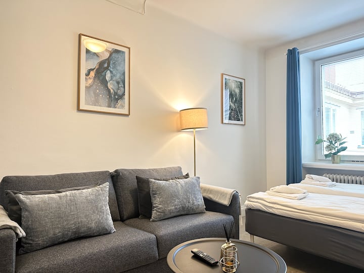 Stay Inn: Spacious Studio Apartment - Stoccolma