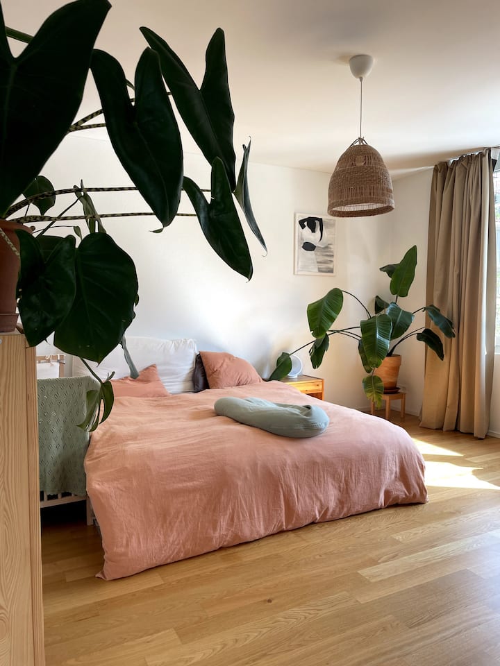 Helles Zu Hause In Luzern - Lucerna