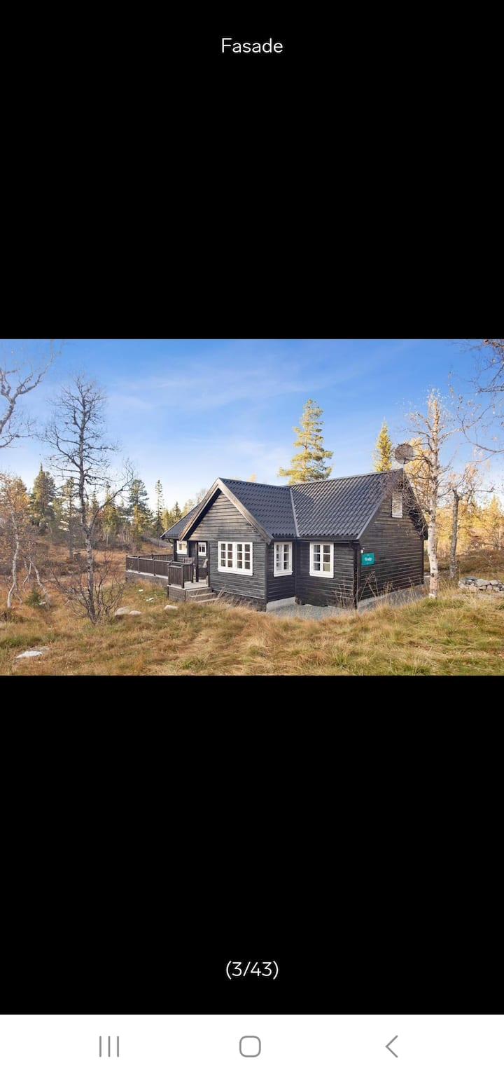 Rakkarbui - Norway