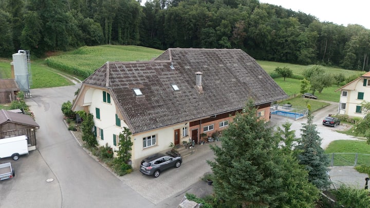 Zentral & Ländlich - Charmante Dachwohnung - Fribourg