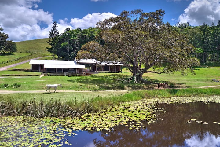Luxury Figtree Cabin With Fireplace & Views - Noosa