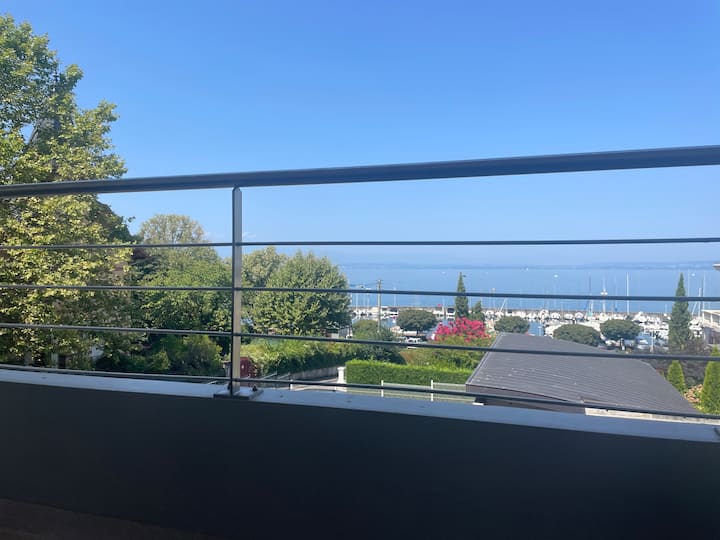 Luxuries Overlook Geneva Lake - Évian-les-Bains