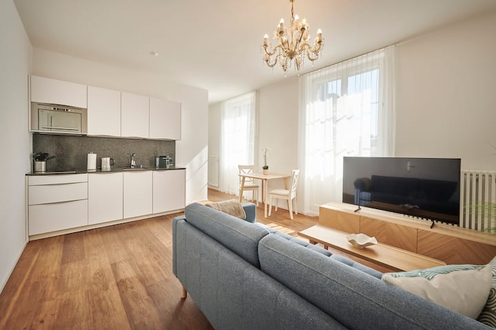 Modern City Apartment Bern - Berna