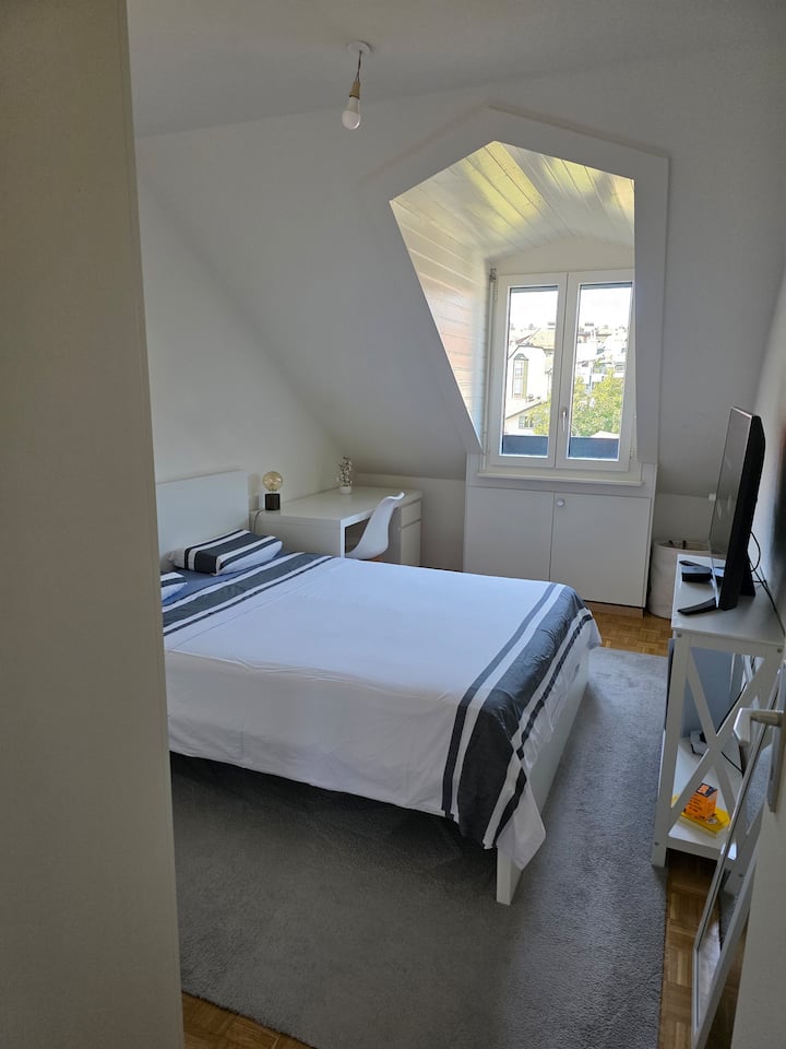 Chambre Privée Centre De Genève - Geneva