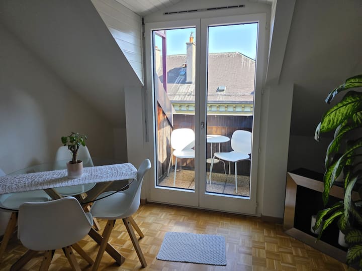 Chambre Privée Centre De Genève - Geneva