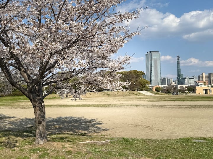 1stopnagoya/ghiblipark/washerdryer/friendscouples - 아이치현