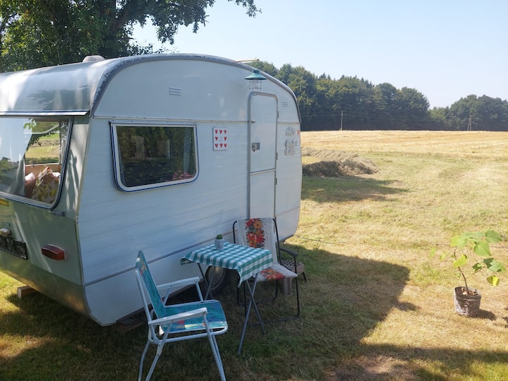 Camping Feeling Am Bauernhof - Attersee