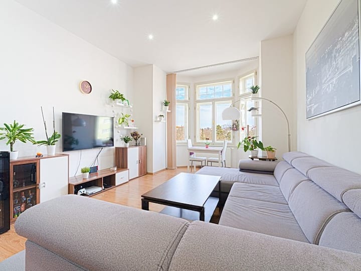 Slunný Byt Na Kraji Parku - Brno