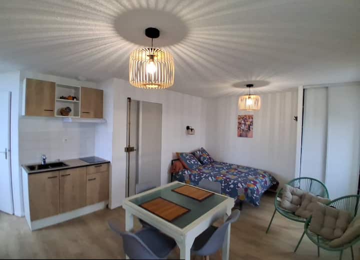 Studio Cosy à Trébeurden Vue Mer - Trébeurden