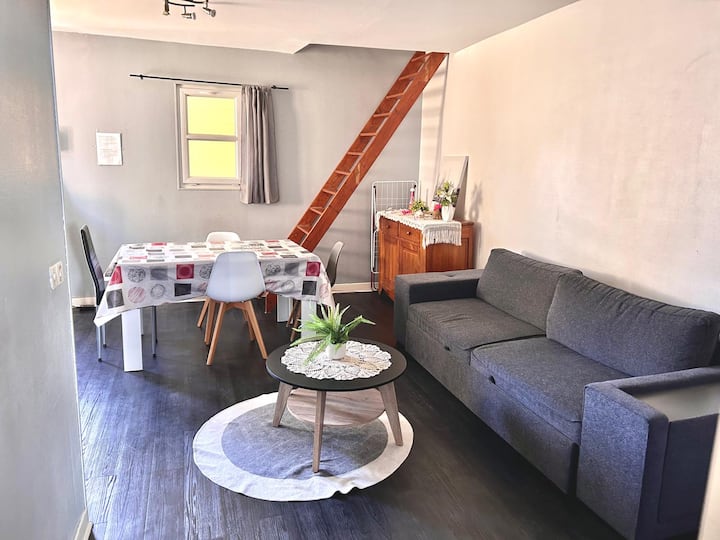 Grand Appartement Centre Tarbes - Tarbes
