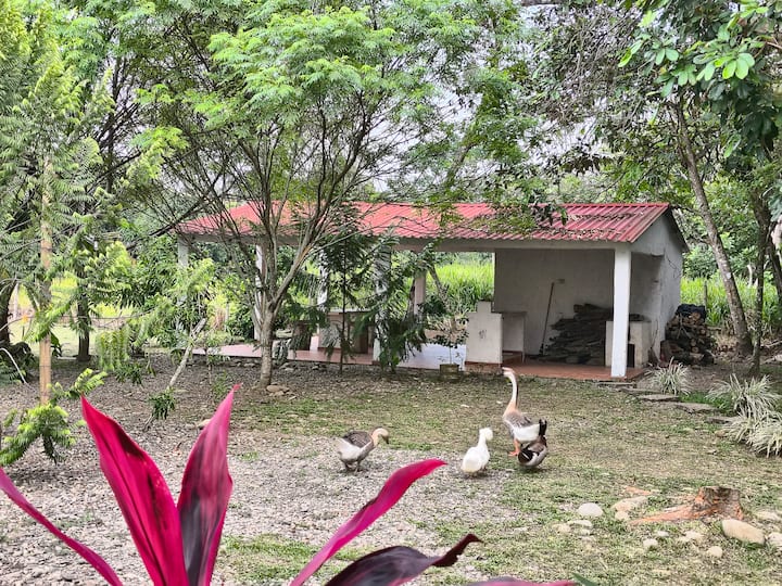 Finca Lista Para Tu Próxima Reunión Familiar. - Granada