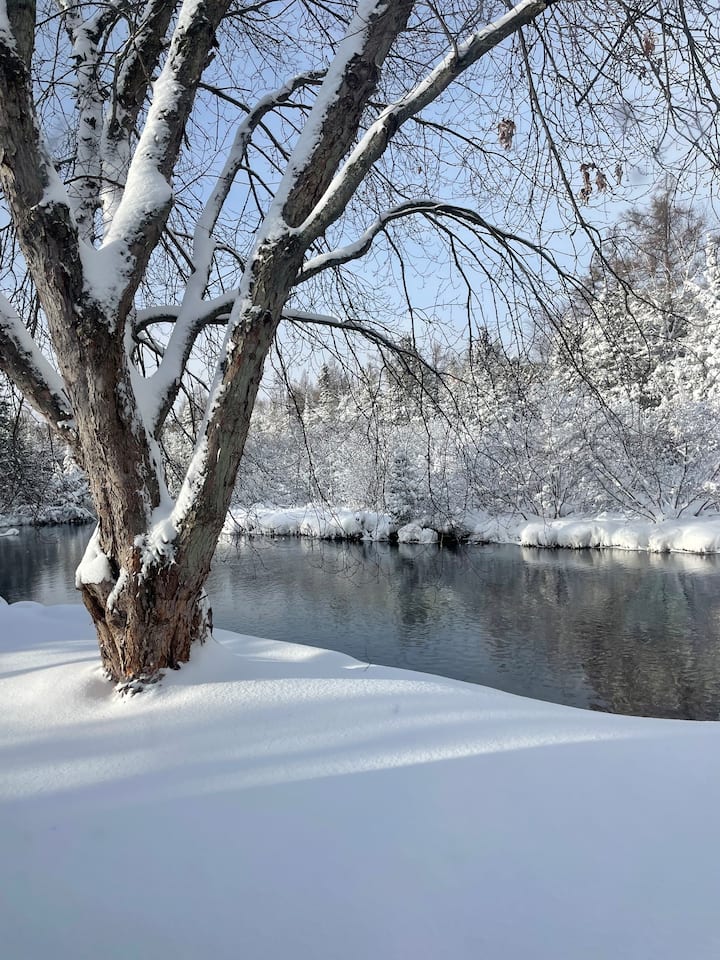 Downtown Grayling-the Snow Is Here! - Grayling, MI