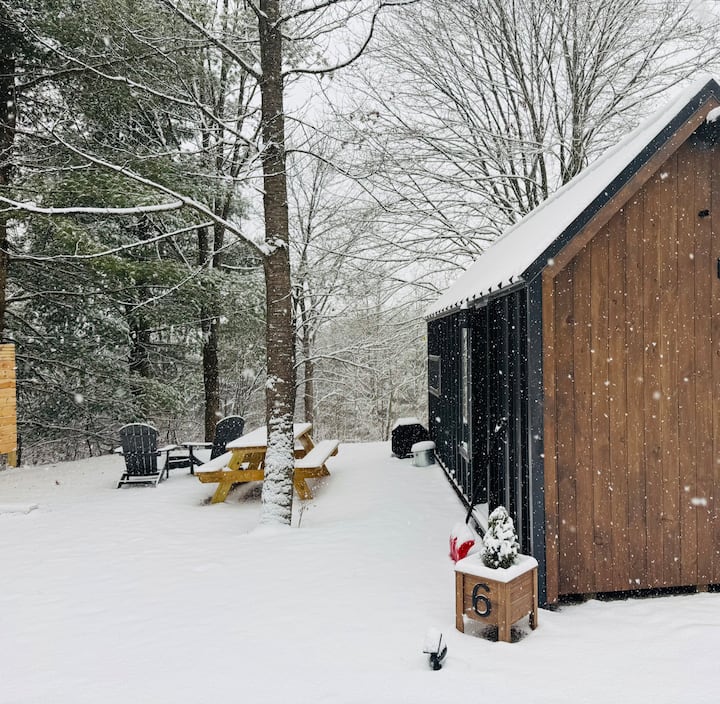 Flx 6 - Tiny Cabin In Wine Country - Finger Lakes, NY