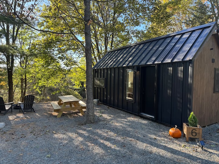 Flx 6 - Tiny Cabin In Wine Country - Finger Lakes, NY