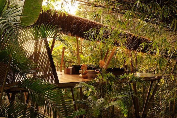 Green Whisper House - Brazil