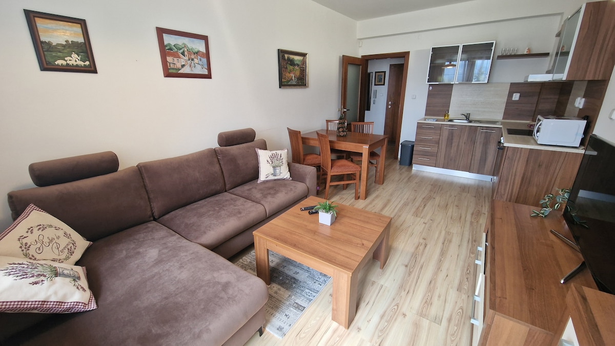 Apartment Martius Veľká Lomnica - Flats for Rent in Veľká Lomnica ...