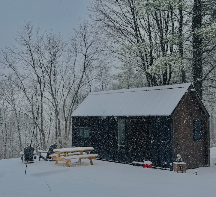 Flx 8 - Getaway In Finger Lakes - Cayuga Lake, NY