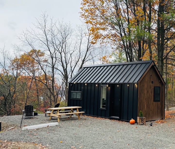 Flx 8 - Getaway In Finger Lakes - Finger Lakes, NY