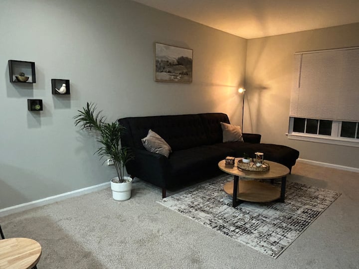 1 Br Apartment Near Va Beach - Norfolk, VA