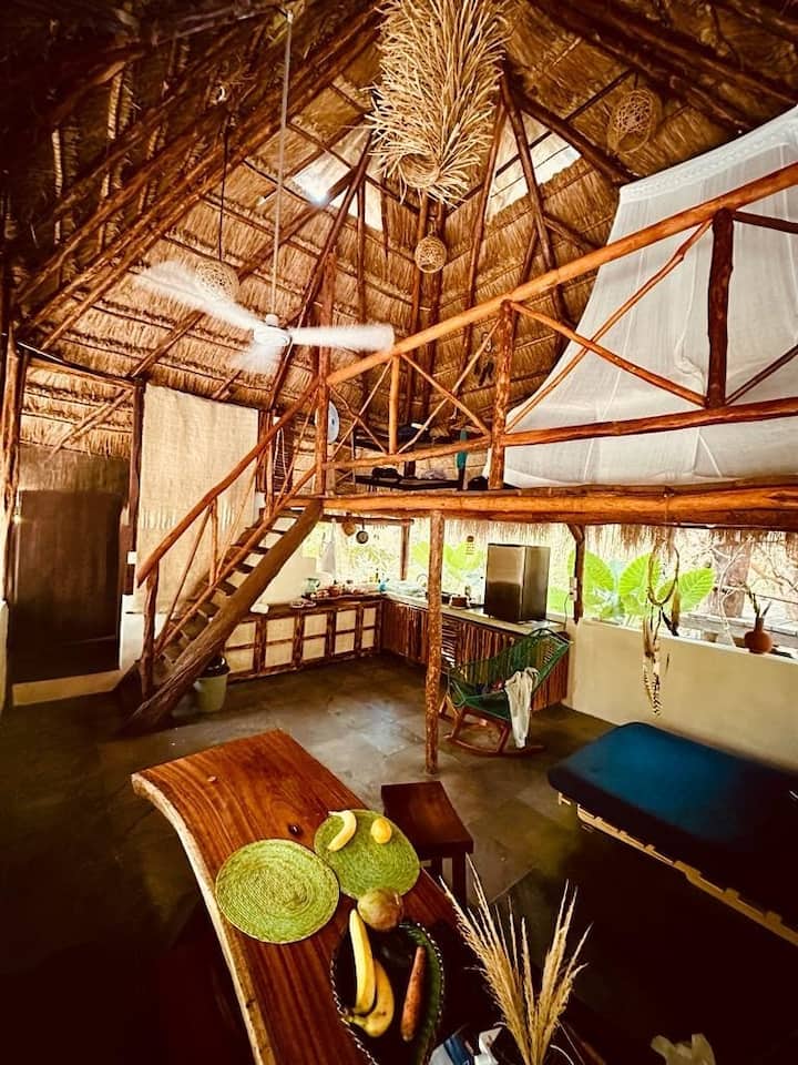 Bluemonkey Descanso En La Selva - Akumal