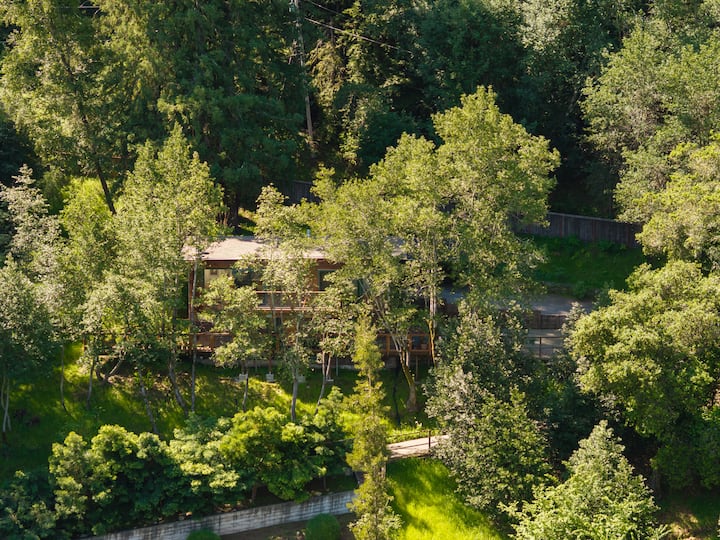 Serene Bosque Views - Stinson Beach, CA