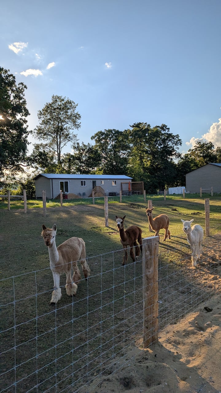 Unique Alpaca Farm Stay · Large Private 2br Suite - Tillsonburg