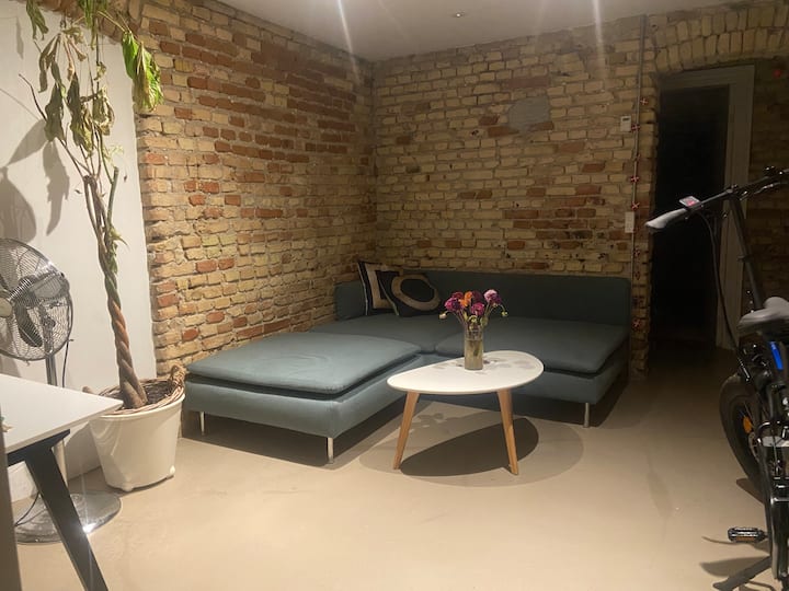 Luxery Apartment, Central In Copenhagen - Copenhagen