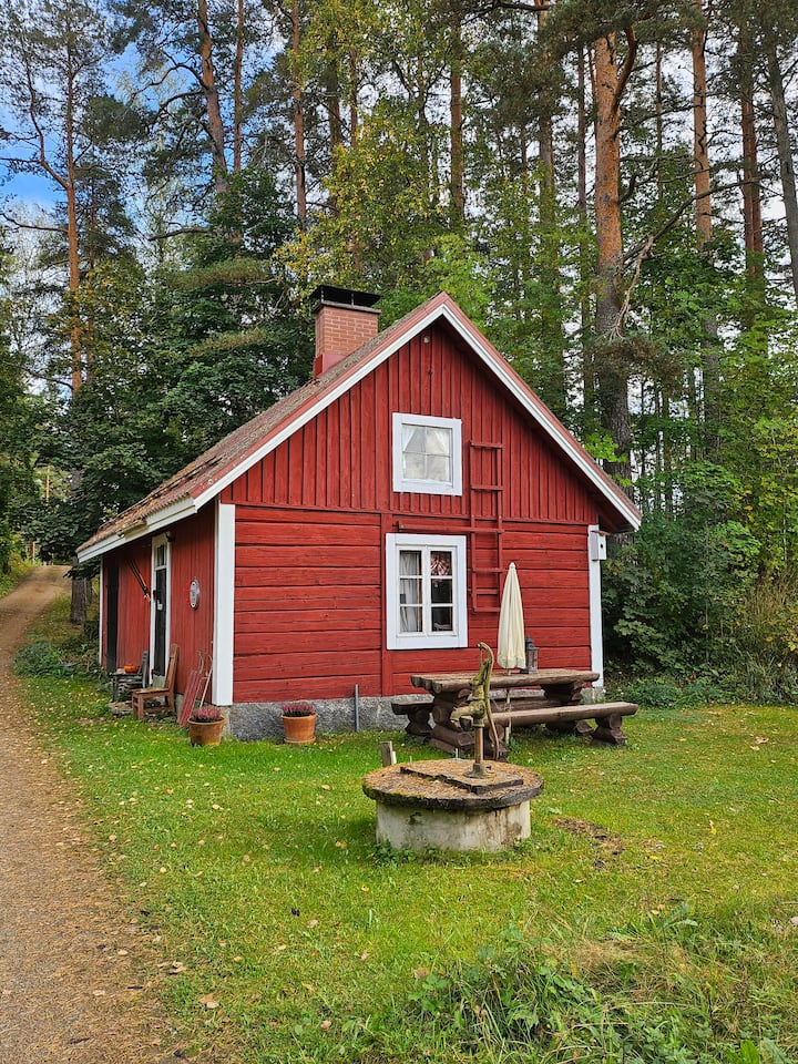 Romanttinen Maaseutu  Saunamökki - Padasjoki
