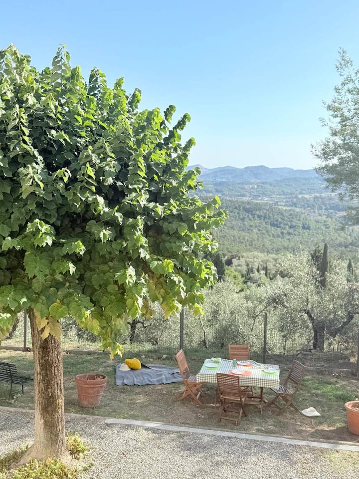Il Nido Fra Gli Ulivi, Pace In Collina Con A/c - Lucca