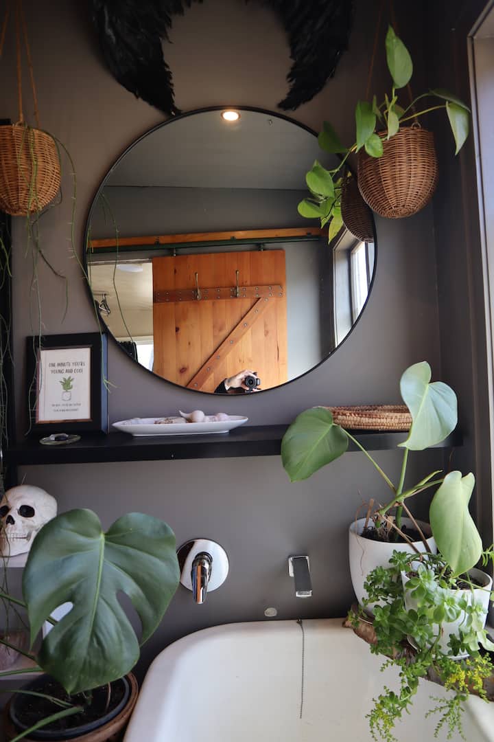 Shadows Hut Tongariro National Park - Whakapapa Village