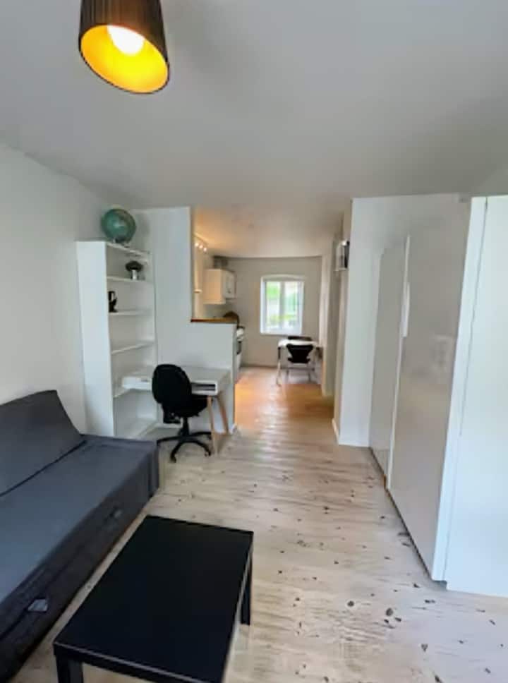 Hel Lejlighed I Odense Tæt På Centrum - Odense